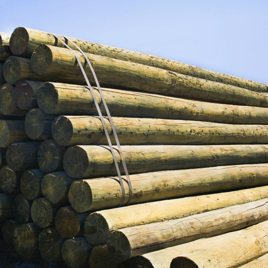Polines de Madera Impregnados | Polin | Polines | Rollizos | Postes ...